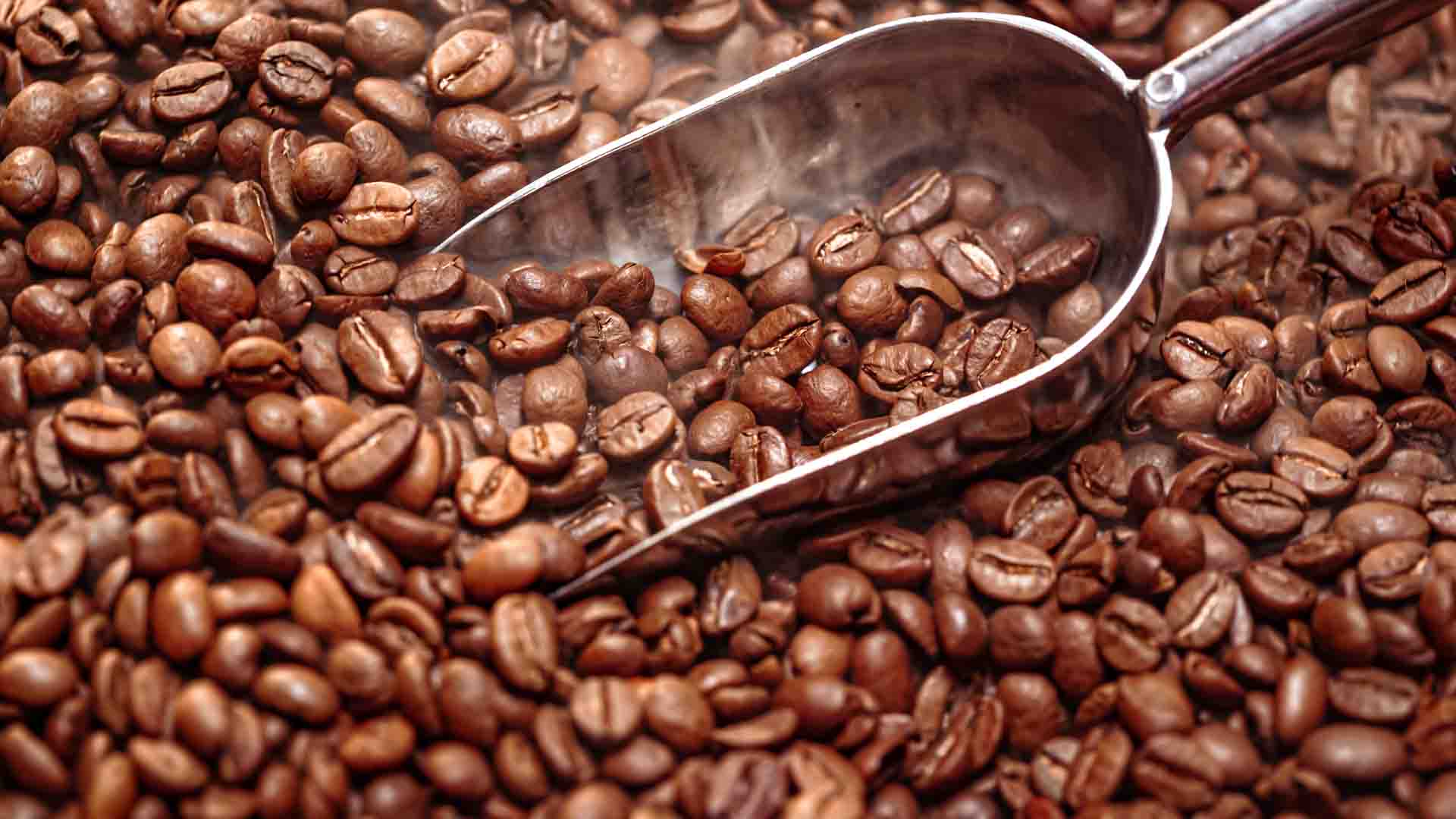 How brewing method affects coffee’s health benefits - Levant Guardian